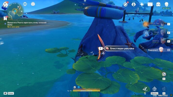 Shiny Shell in Genshin Impact: What is it for and where to find it