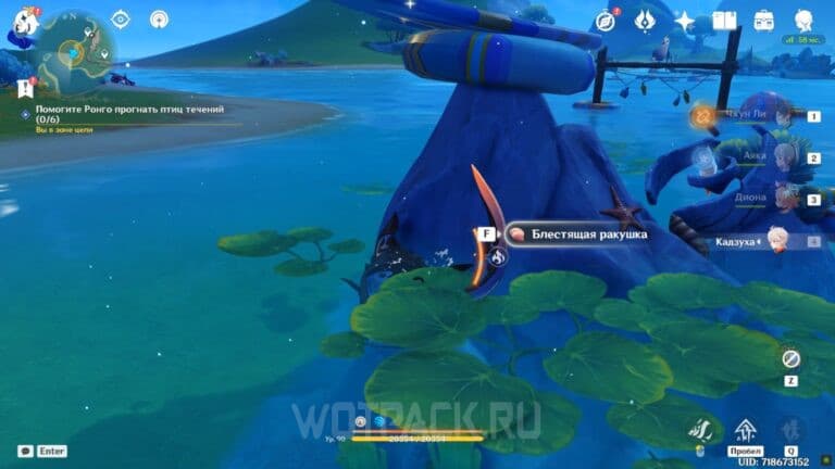 Shiny Shell in Genshin Impact: What is it for and where to find it