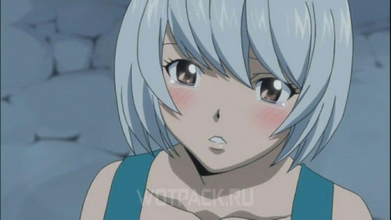 All characters of the anime Fairy Tail | heroes of Fairy Tail
