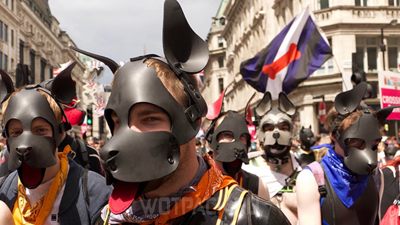 Quadrober: Wer sind sie in einfachen Worten und woher kommen sie?