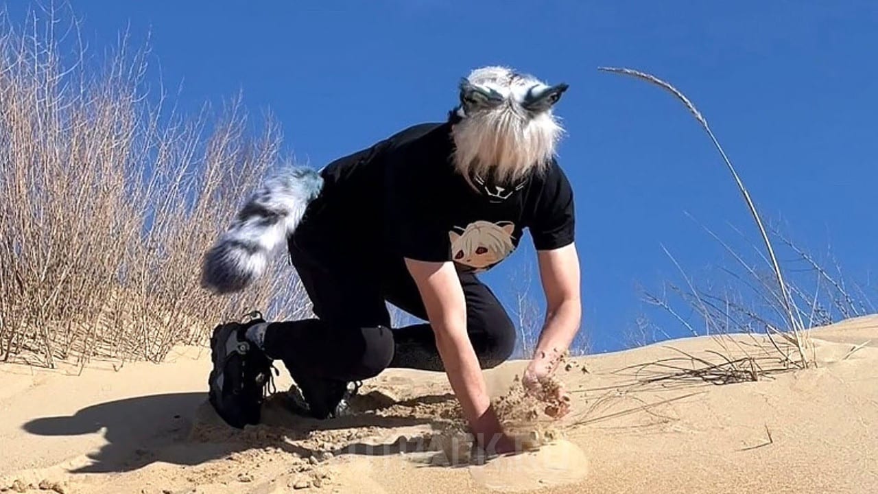 Quad bikers: who are they in simple words and where did it come from