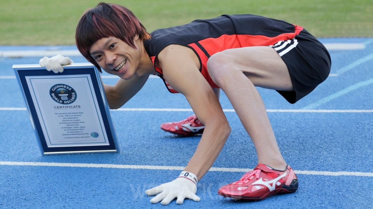 Quadrober: Wer sind sie in einfachen Worten und woher kommen sie?