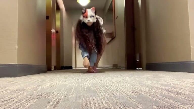 Quadrober: Wer sind sie in einfachen Worten und woher kommen sie?