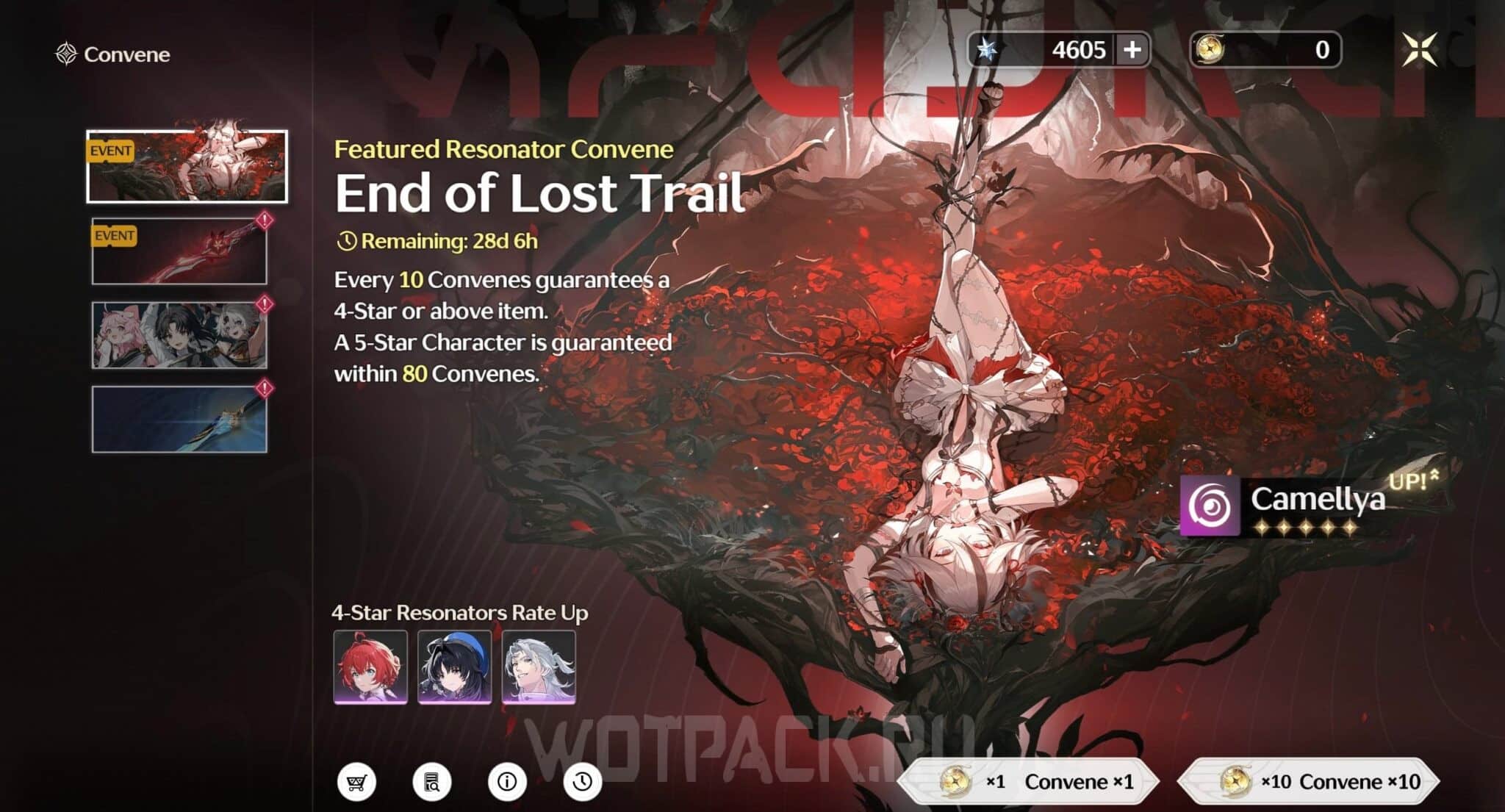 Camellia in Wuthering Waves: Camellia guide & build