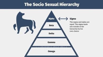 Sigma: what does it mean in youth slang in simple words