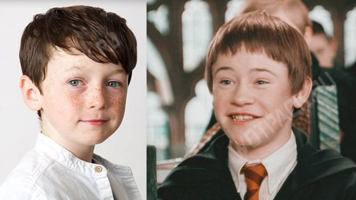 Série Harry Potter: data de lançamento, atores e tudo o que se sabe