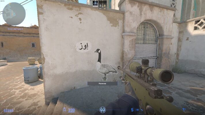 Monesi settings in CS 2: sight, hands, config, graphics m0NESY