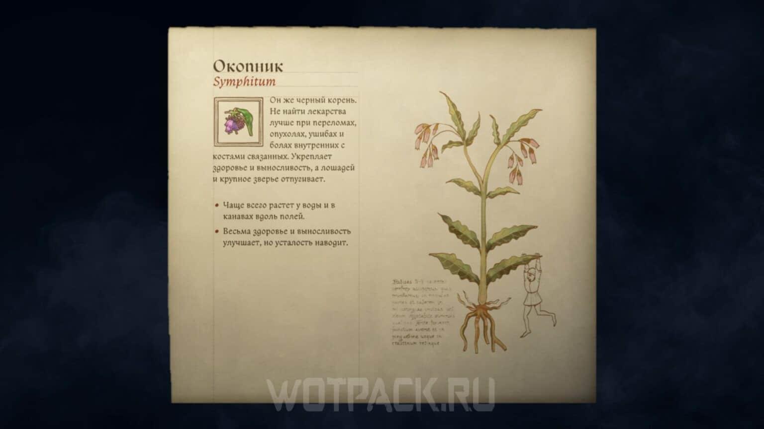 Comfrey in Kingdom Come Deliverance 2: Where to Find and Buy