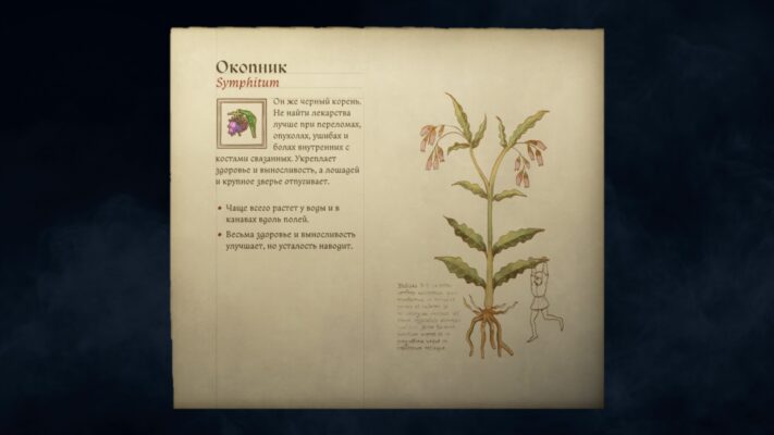 Comfrey in Kingdom Come Deliverance 2: Where to Find and Buy