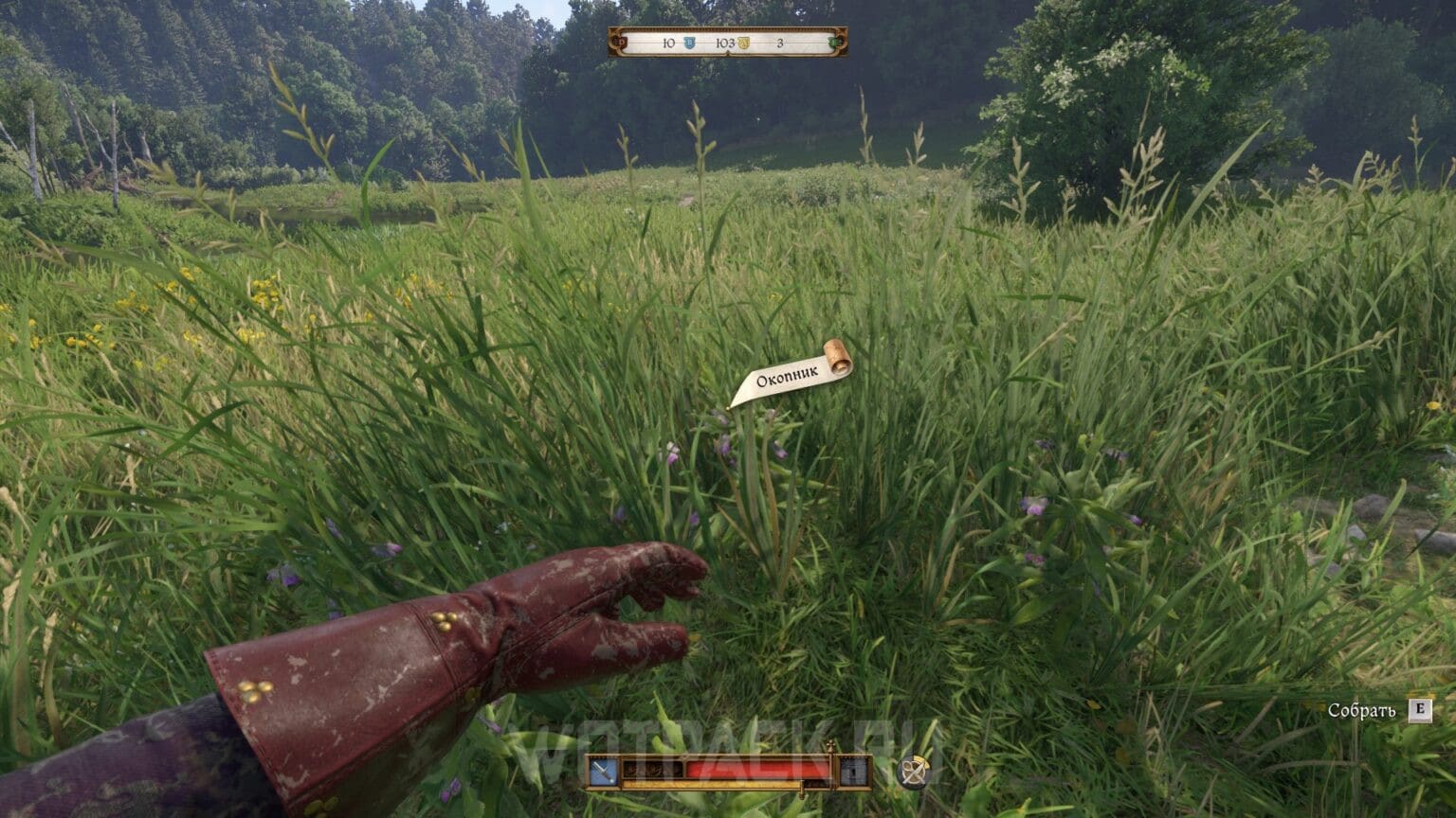 Comfrey in Kingdom Come Deliverance 2: Where to Find and Buy