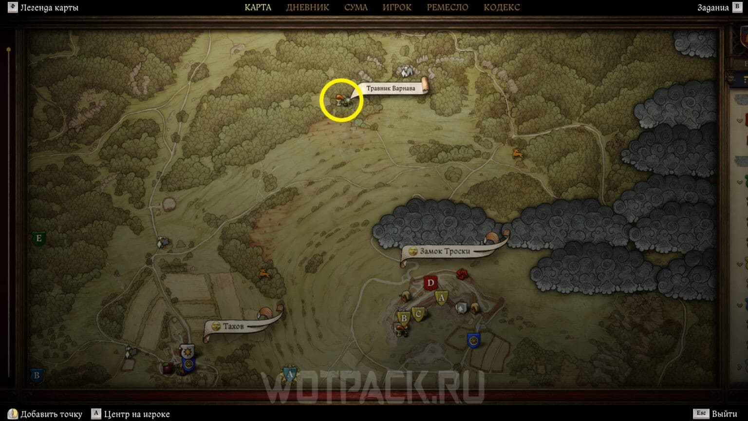 Comfrey in Kingdom Come Deliverance 2: Where to Find and Buy