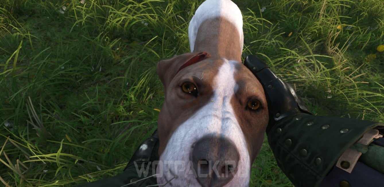 Kingdom Come Deliverance 2 Mapa Interativo: Todos os Marcadores