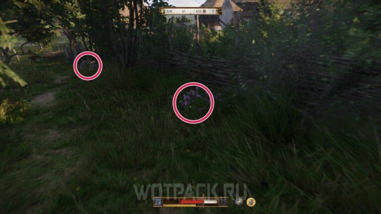 《天国：拯救 2》老鼠：如何让公牛入睡并上色