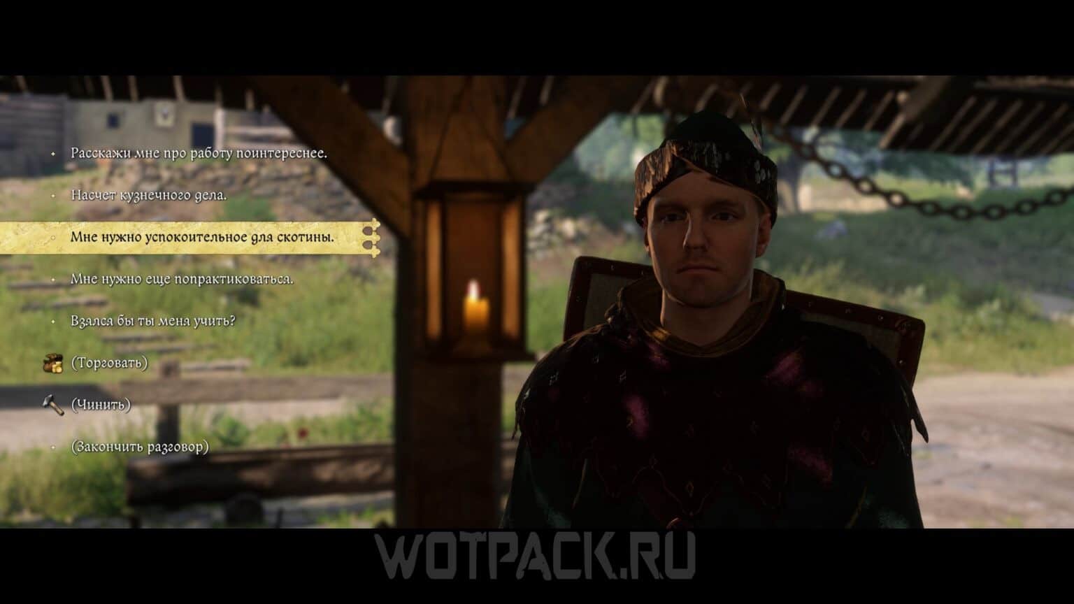 Kingdom Come Deliverance 2 Mice: How to Put to Sleep and Paint a Bull