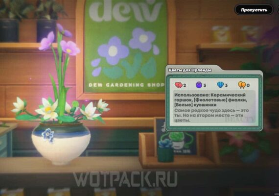 About the secret in the language of flowers in ZZZ: how to pass the ...