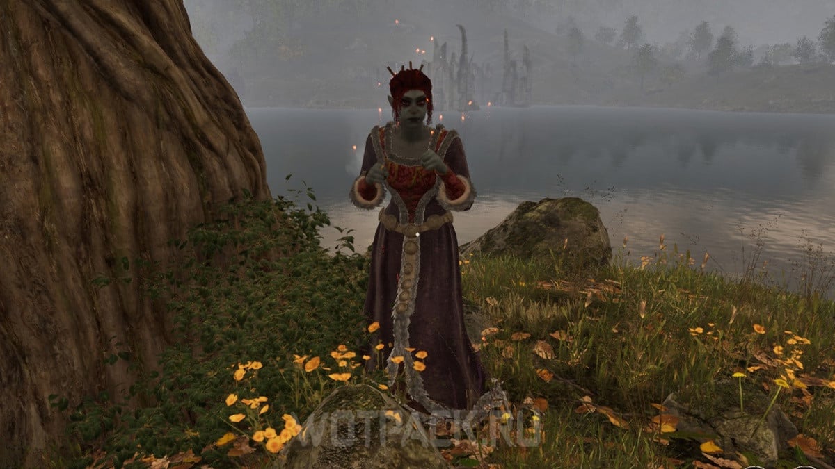 Las mejores configuraciones de TES IV Oblivion Remastered: mago ...