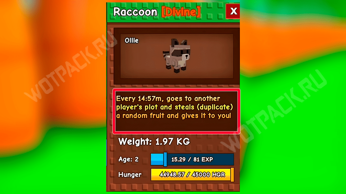 How to Get a Raccoon Pet in Grow a Garden: What It Does, Which Egg It ...