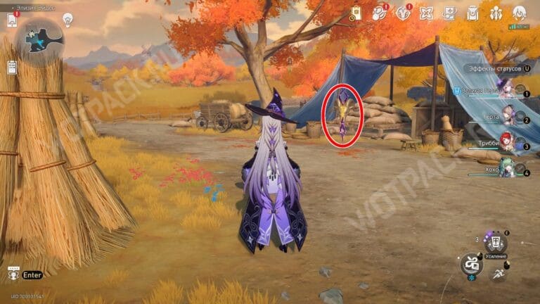 Elysia Eides in HSR: How to Find All Chests and Solve Riddles